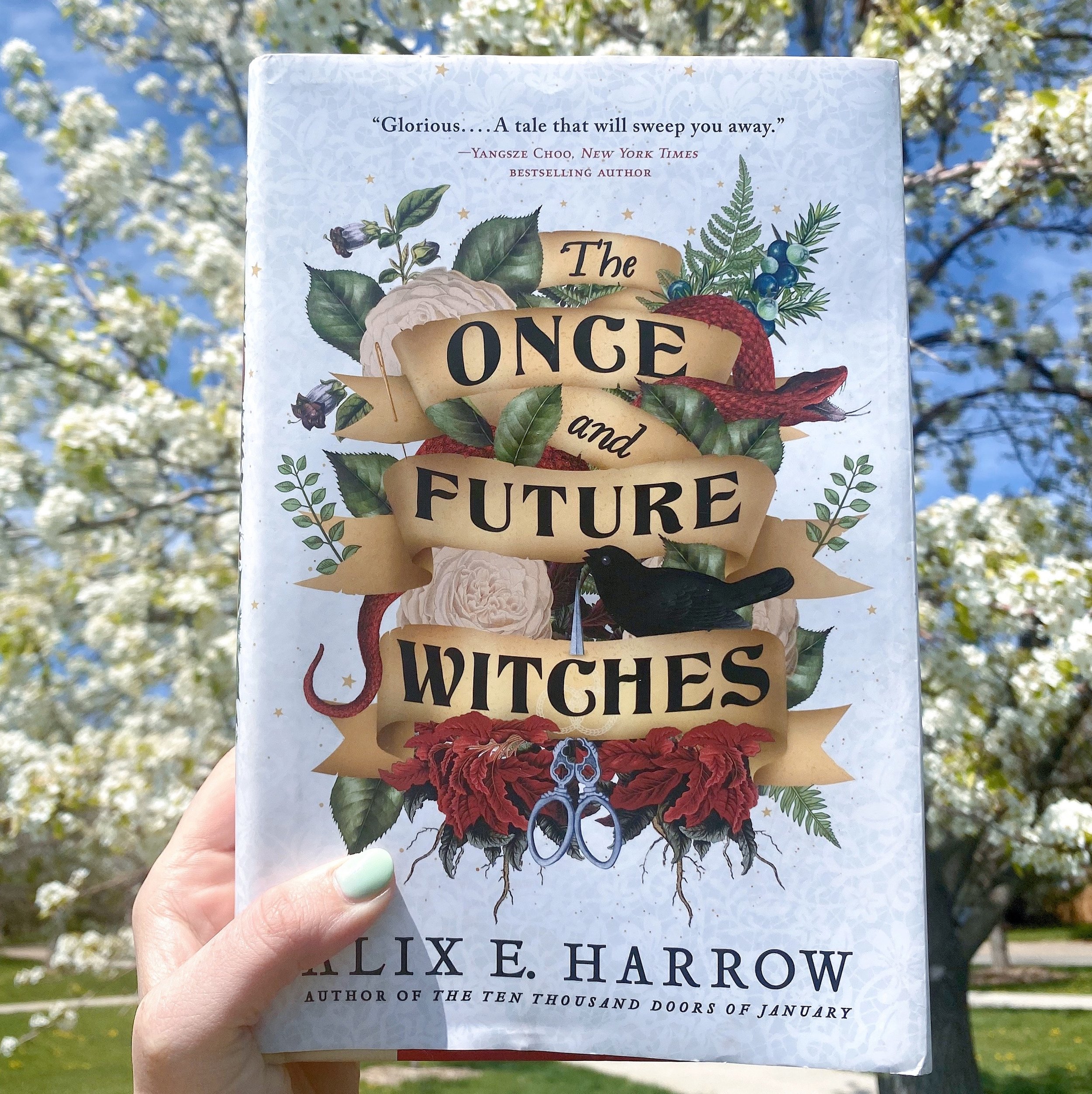 Book Recs Based on Your Childhood Favorite | Shine Daily