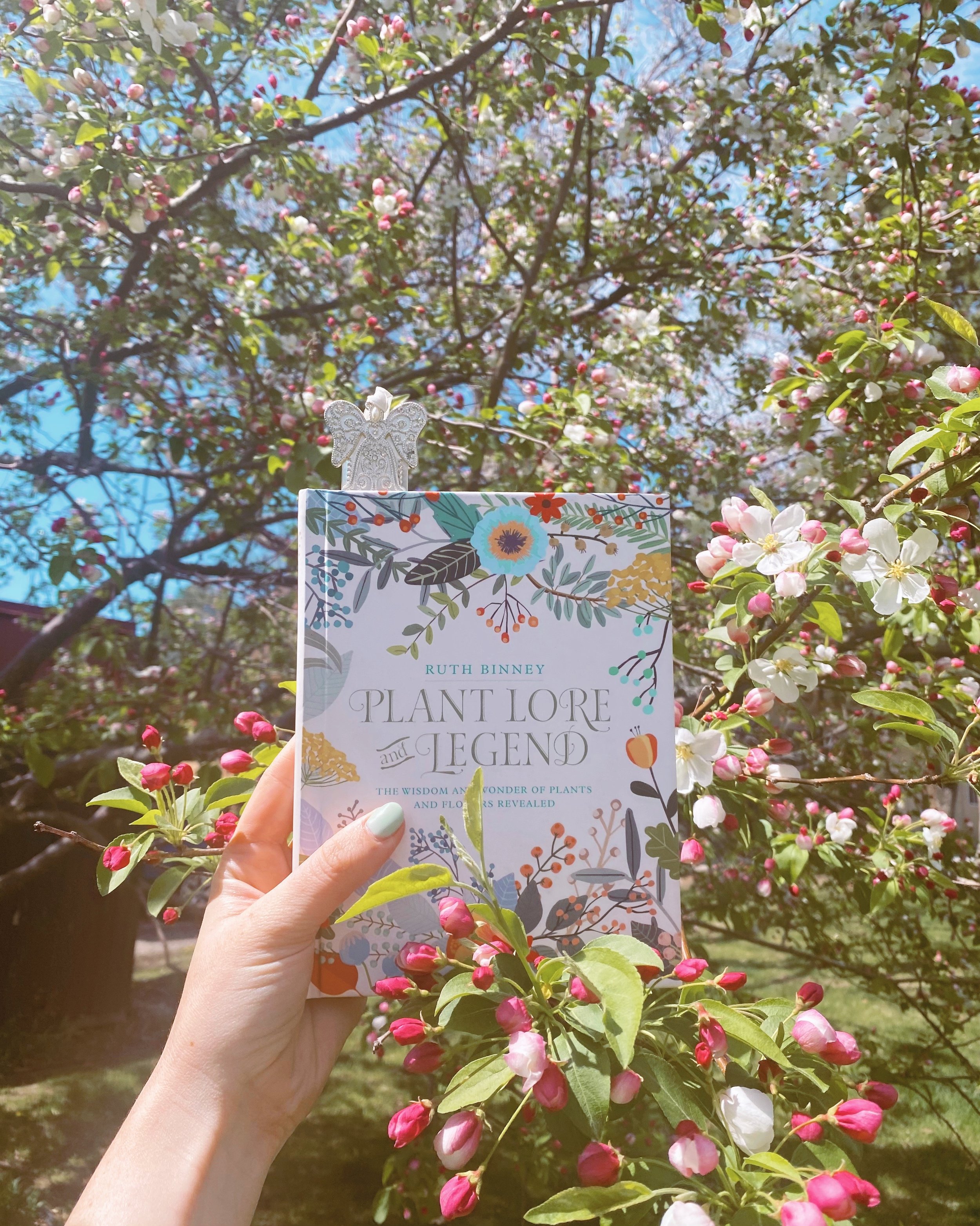 Cottagecore Books to Add to Your Reading List | Shine Daily